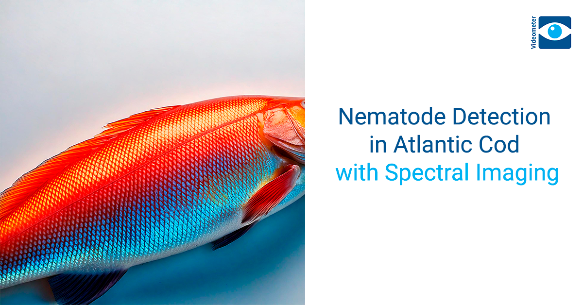 Nematode Detection in Atlantic Cod with Spectral Imaging - Videometer